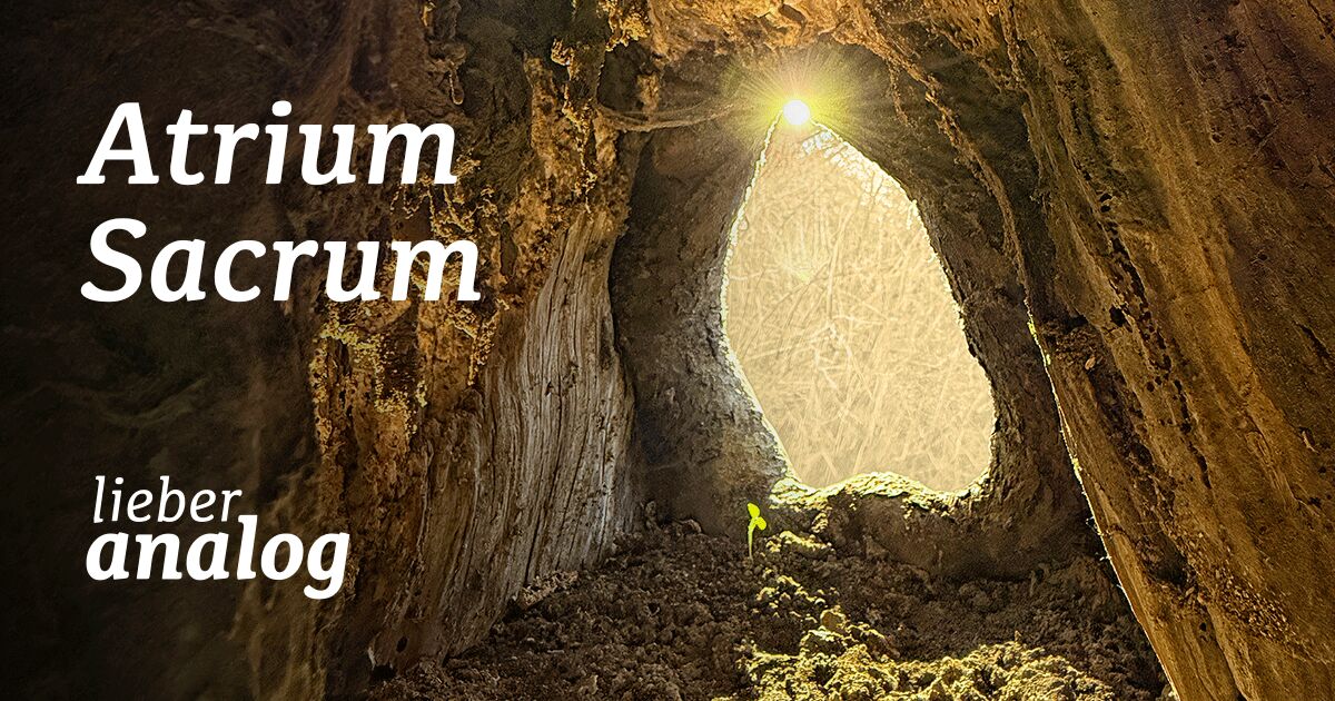 Atrium Sacrum – Lebensräume im Wandel | Lieber Analog
